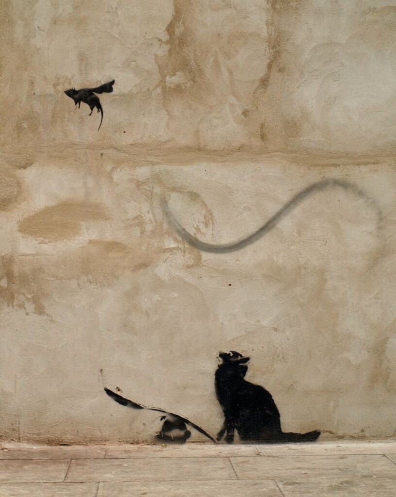 Книга Banksy - present-simple.by